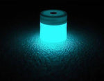 Phosphorescent Glow in the Dark Powder Pigment - Aqua | GLO Effex